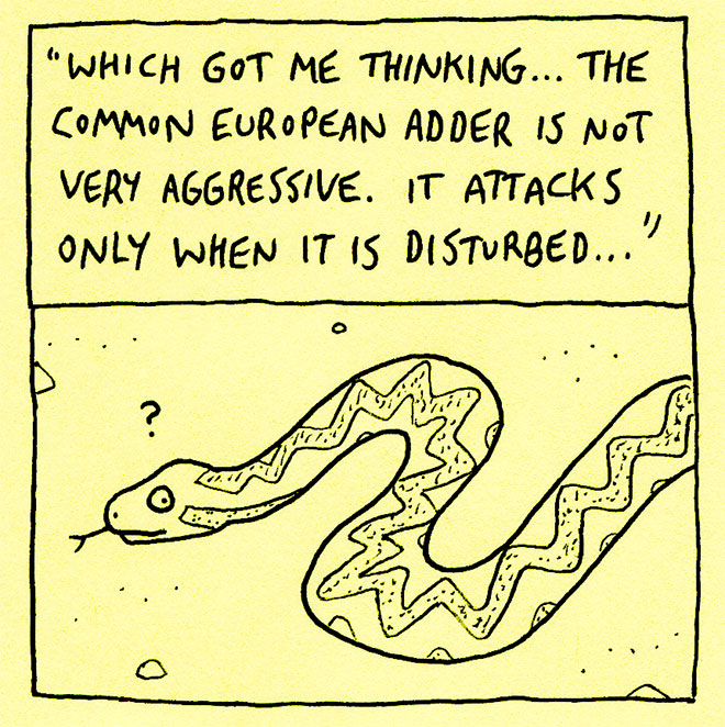 The Top 5 Most Meticulously Researched Savage Chickens Comics – Doug Savage