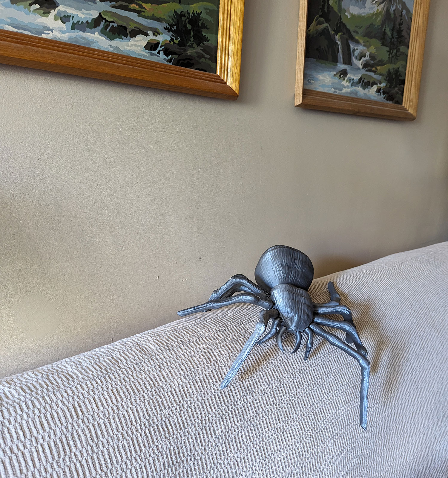 My Spider Journal: Return of the Wolf Spider – Doug Savage