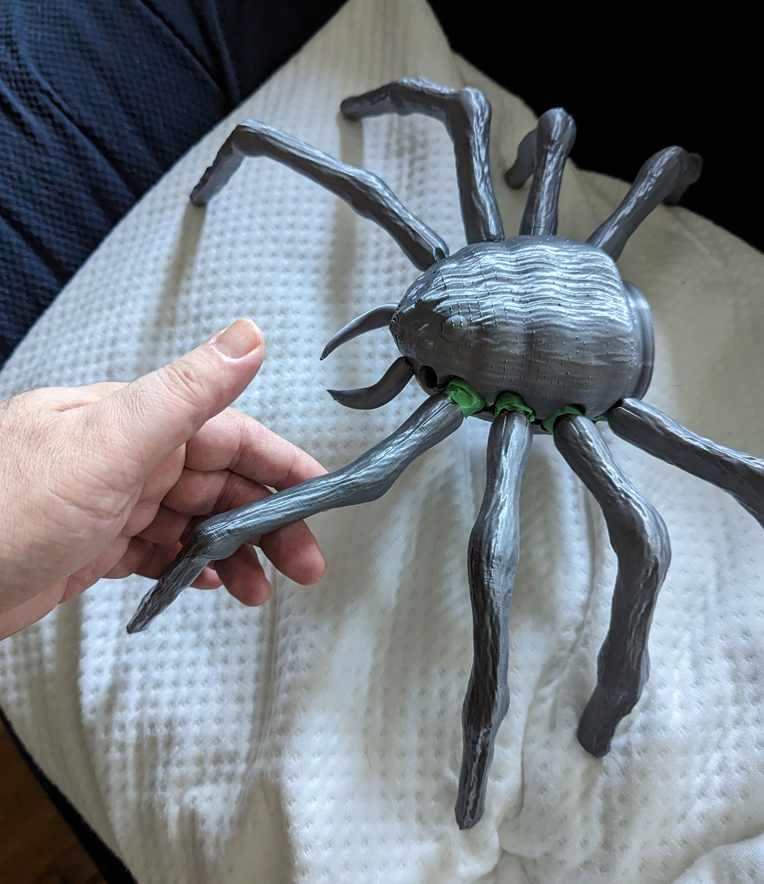 My Spider Journal: Spider Invasion – Doug Savage